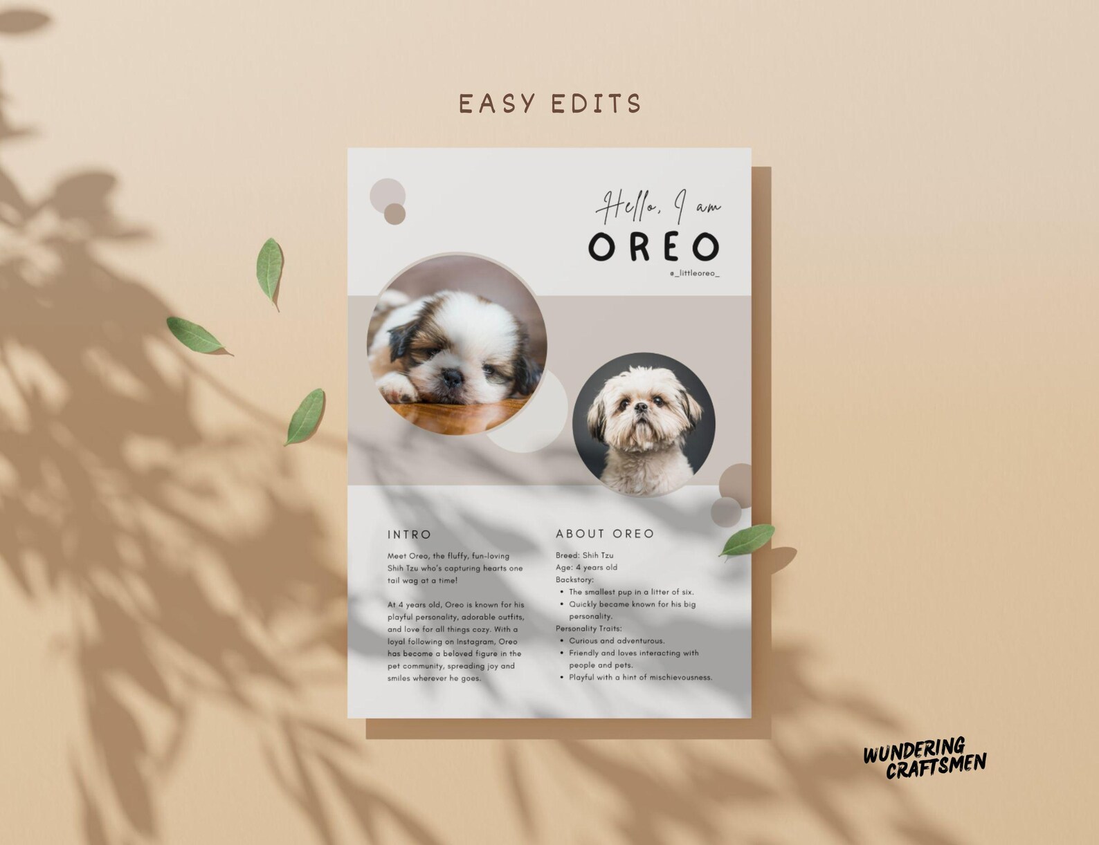Dog Influencer Media Kit Template Pet Social Media Pet Influencer ...