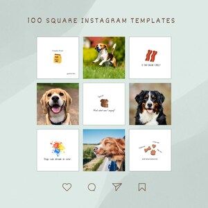 Customizable Pet Instagram Templates Social Media Posts Planner Pet ...