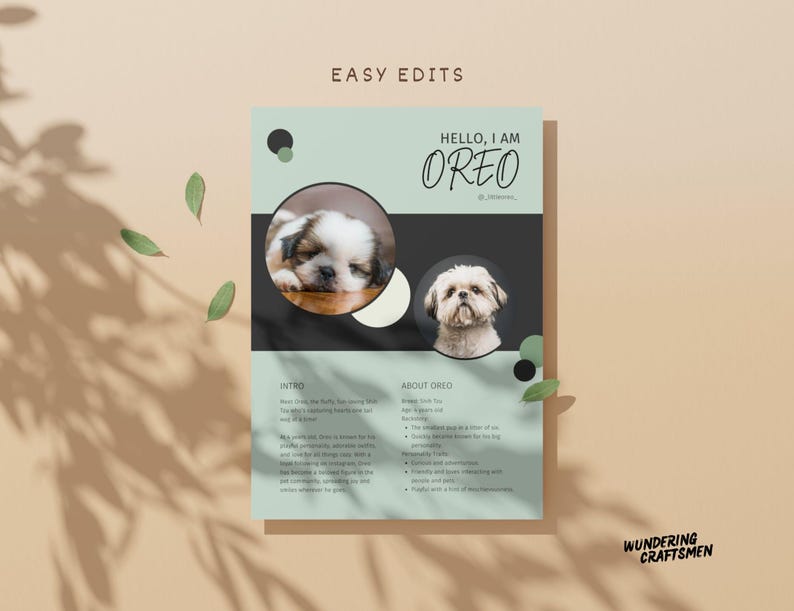 Professional Dog Media Kit Template Pet Influencer Editable Canva ...
