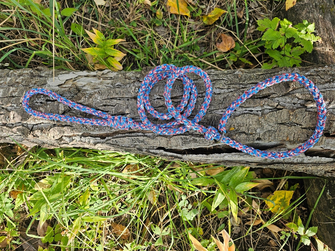 6 Feet Red White and Blue Paracord Slip Leash Slip Lead Paracord Dog ...