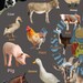 FARM ANIMAL Kids Wall Chart, Childrens Animal Poster, Farm Animal Names ...