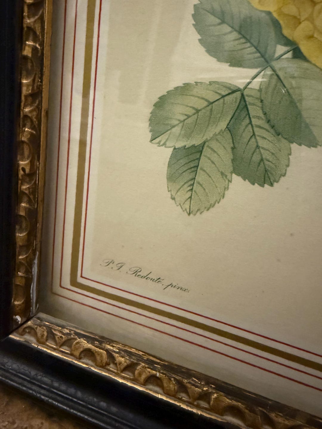 Pair of Antique English Hogarth Frames With Vintage Botanical Prints - Etsy