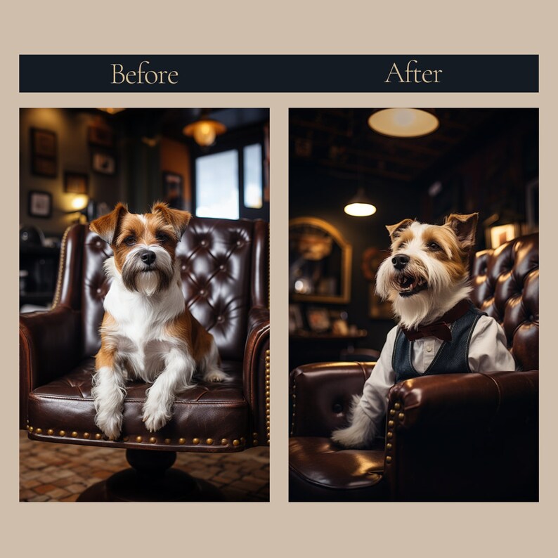 Beautiful Dogs in Barber Shop, Wall Art, Pet Grooming Salon, Before and ...