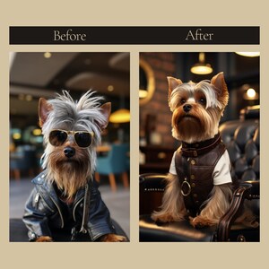 Beautiful Dogs in Barber Shop, Wall Art, Pet Grooming Salon, Before and ...