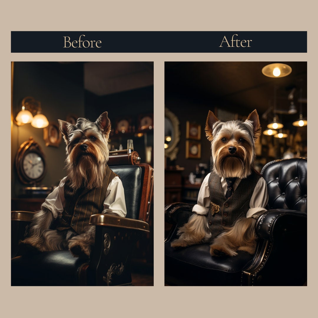 Beautiful Dogs in Barber Shop, Wall Art, Pet Grooming Salon, Before and ...
