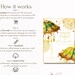 Haldi Invitation Card Canva Template | Floral Haldhi Invitation | for ...