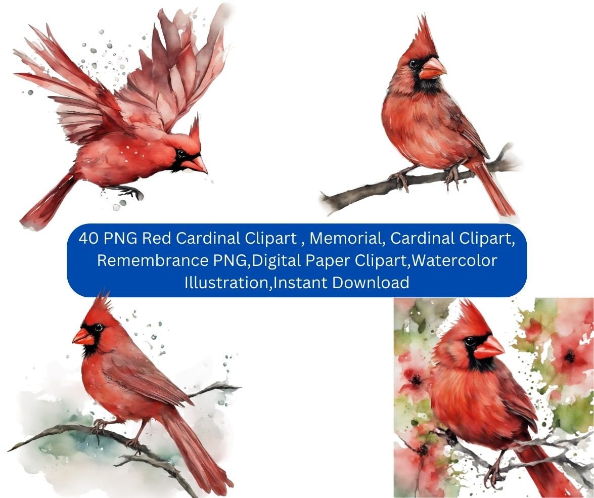 40 PNG, Red Cardinal Clipart , Memorial, Cardinal Clipart, Remembrance ...