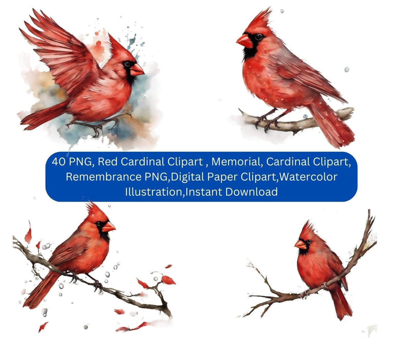 40 PNG, Red Cardinal Clipart , Memorial, Cardinal Clipart, Remembrance ...