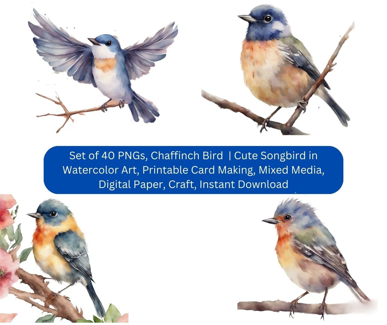 40 Cute Songbird Clipart, PNG, Chaffinch Bird, Commercial Use, Digital ...