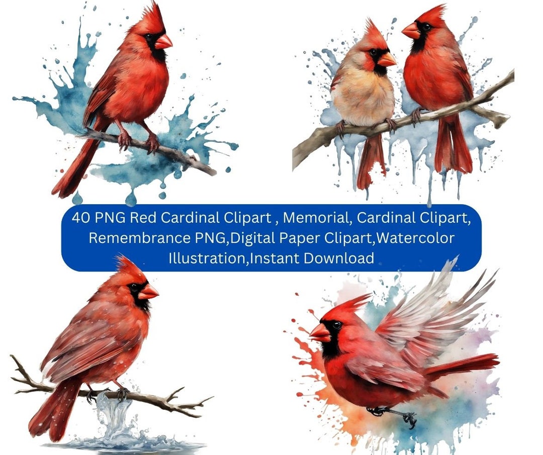 40 PNG, Red Cardinal Clipart , Memorial, Cardinal Clipart, Remembrance ...