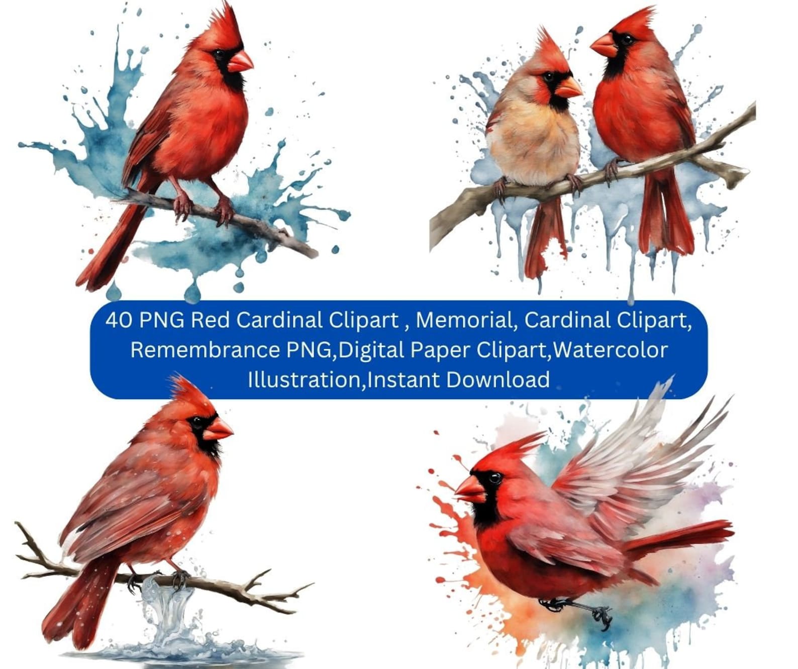 40 PNG, Red Cardinal Clipart , Memorial, Cardinal Clipart, Remembrance ...