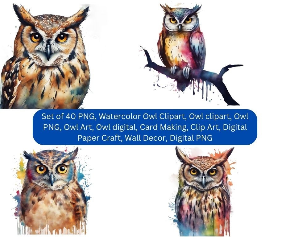 40 Owl Clipart Watercolor Clipart, PNG, Owl Art, Woodland. Owl ...