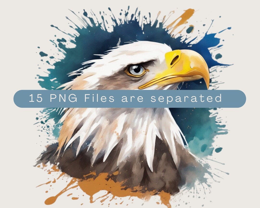 Watercolor Bald Eagle Clipart - Alpine Forest Eagles 15 Files in PNG ...
