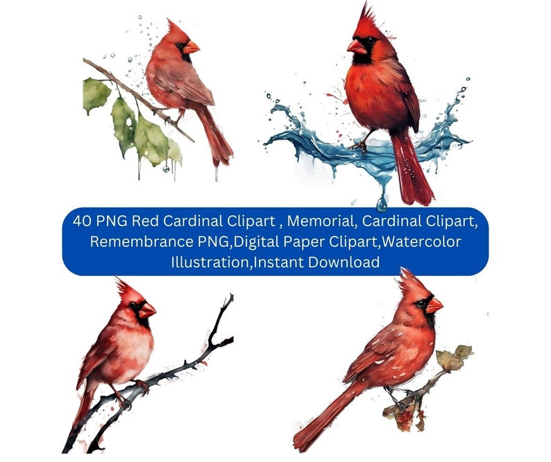 Buy 40 PNG, Red Cardinal Clipart , Memorial, Cardinal Clipart ...