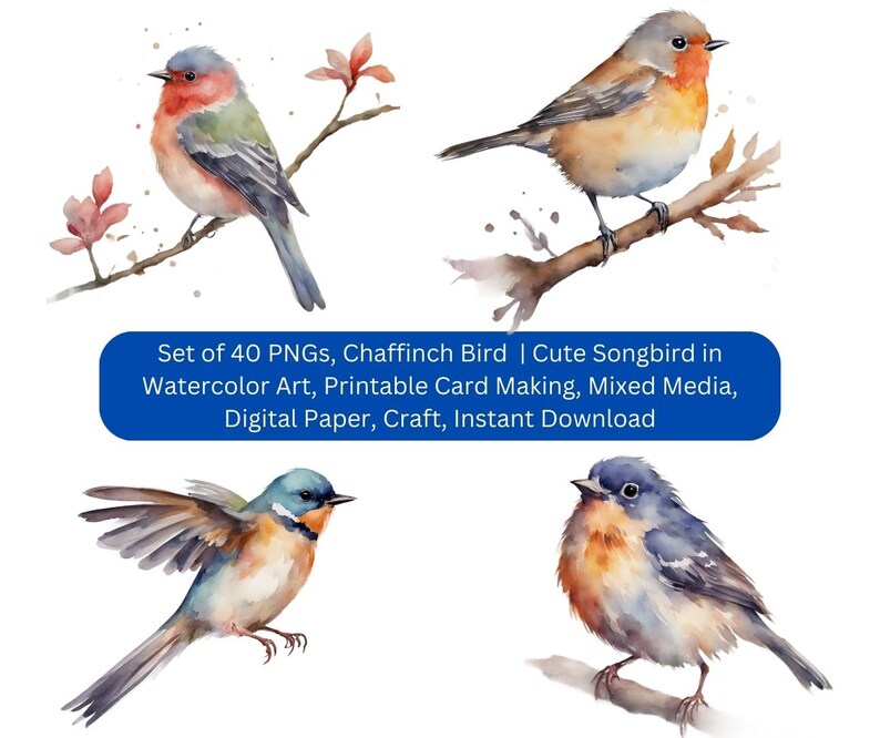 40 Cute Songbird Clipart, PNG, Chaffinch Bird, Commercial Use, Digital ...