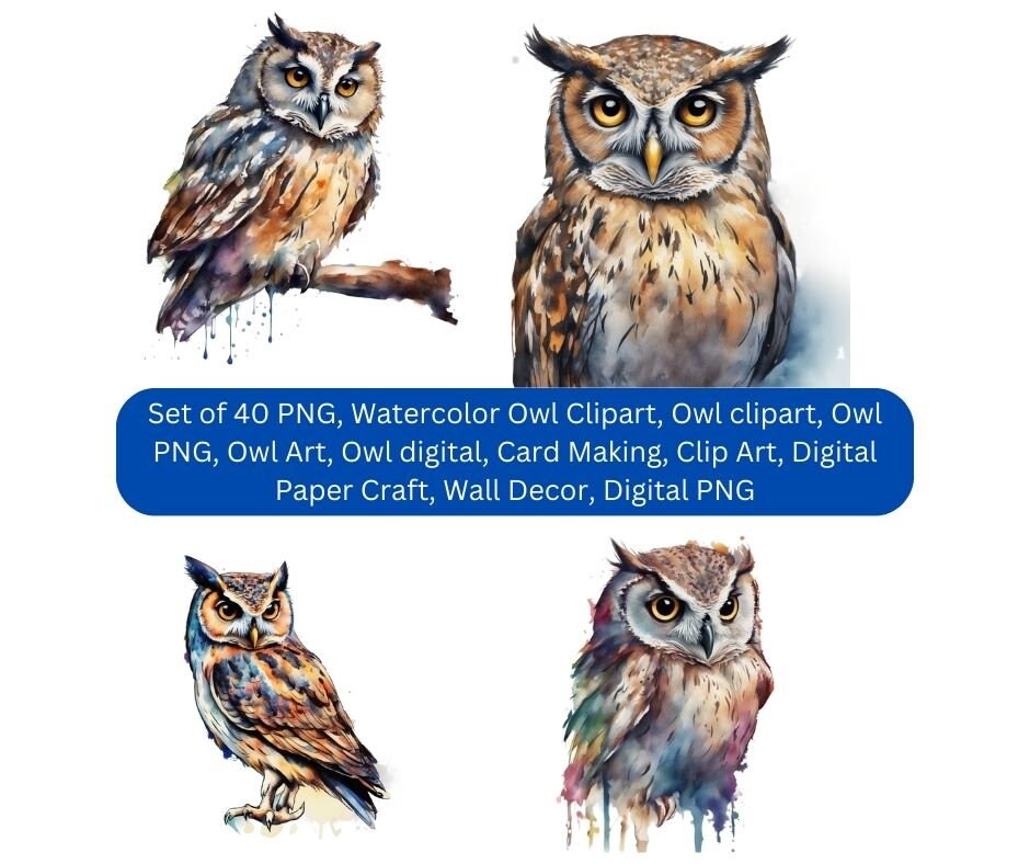 40 Owl Clipart Watercolor Clipart, PNG, Owl Art, Woodland. Owl ...