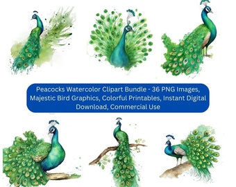 Cute Peacocks Watercolor Clipart Bundle, PNG Images, Majestic Bird ...