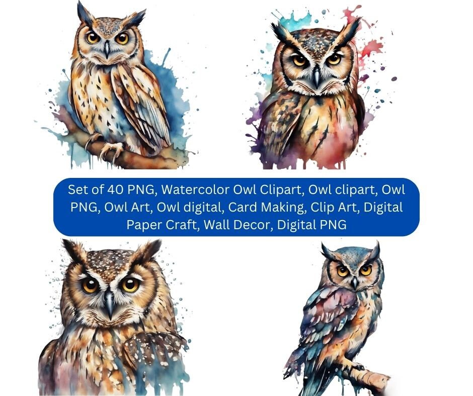 40 Owl Clipart Watercolor Clipart, PNG, Owl Art, Woodland. Owl ...