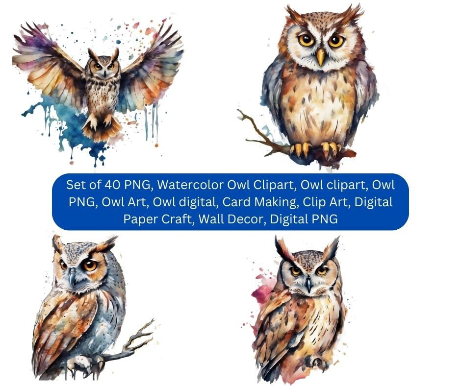 40 Owl Clipart Watercolor Clipart, PNG, Owl Art, Woodland. Owl ...