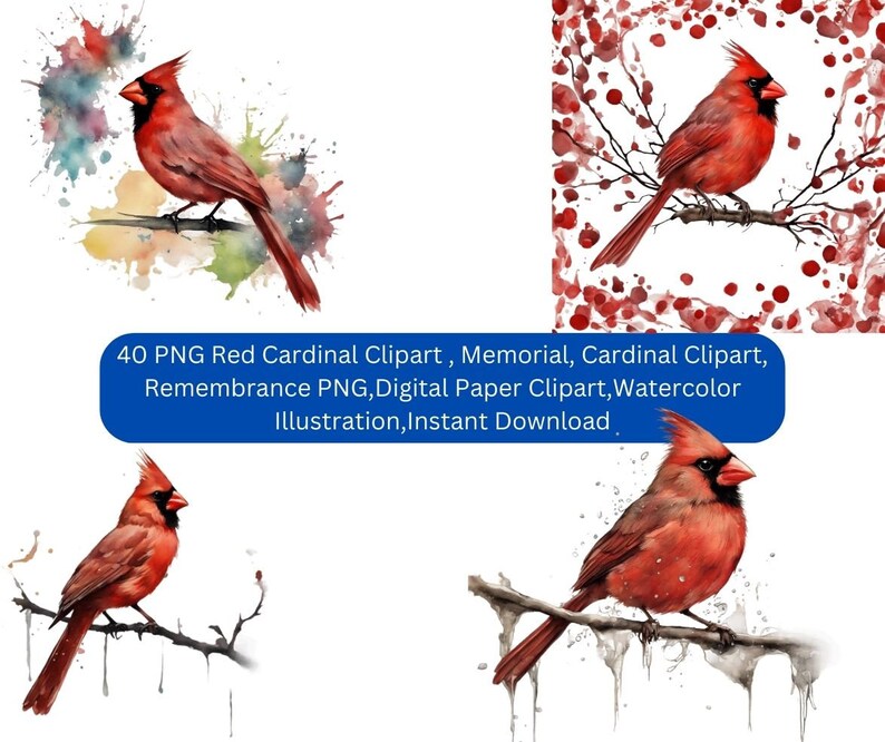 40 PNG, Red Cardinal Clipart , Memorial, Cardinal Clipart, Remembrance ...