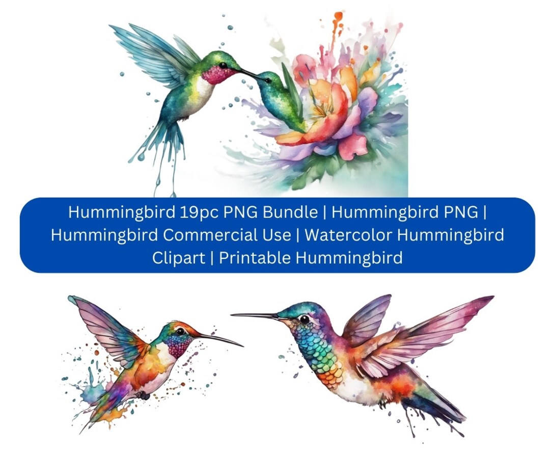 Hummingbird 19 Images in PNG | Hummingbird PNG | Hummingbird Commercial ...