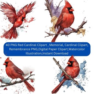 40 PNG, Red Cardinal Clipart , Memorial, Cardinal Clipart, Remembrance ...