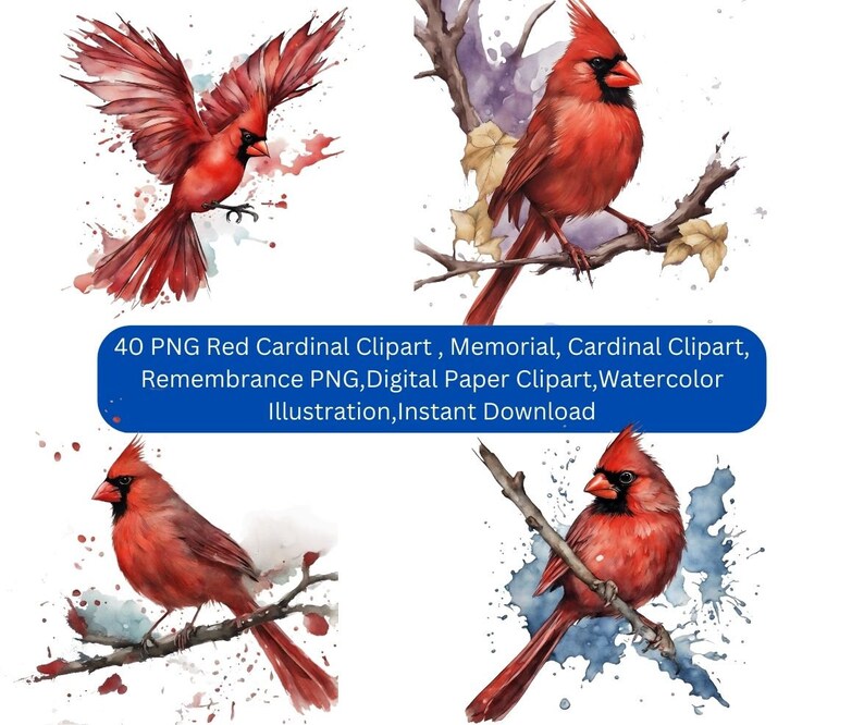 Buy 40 PNG, Red Cardinal Clipart , Memorial, Cardinal Clipart ...