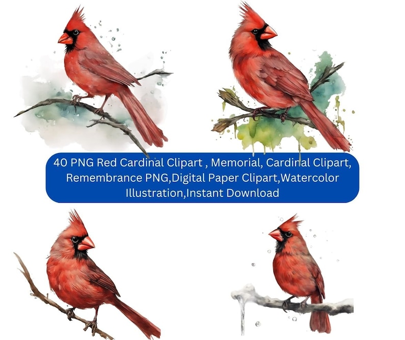 40 PNG, Red Cardinal Clipart , Memorial, Cardinal Clipart, Remembrance ...