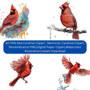 40 PNG, Red Cardinal Clipart , Memorial, Cardinal Clipart, Remembrance ...
