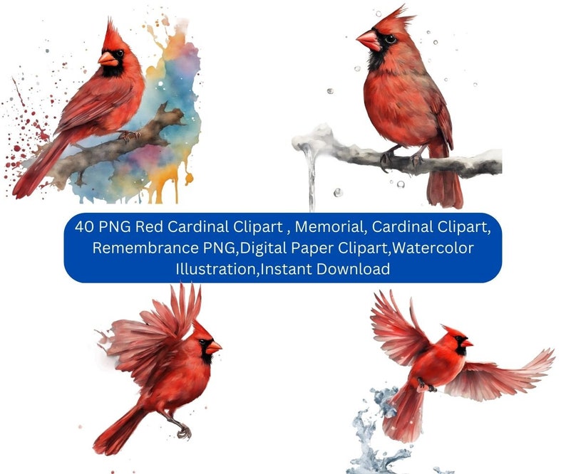 Buy 40 PNG, Red Cardinal Clipart , Memorial, Cardinal Clipart ...