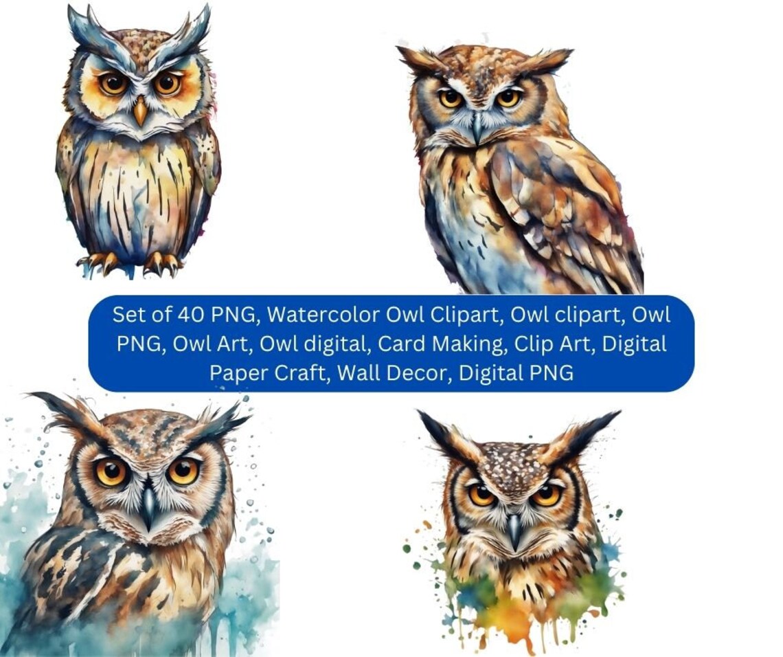 40 Owl Clipart Watercolor Clipart, PNG, Owl Art, Woodland. Owl ...