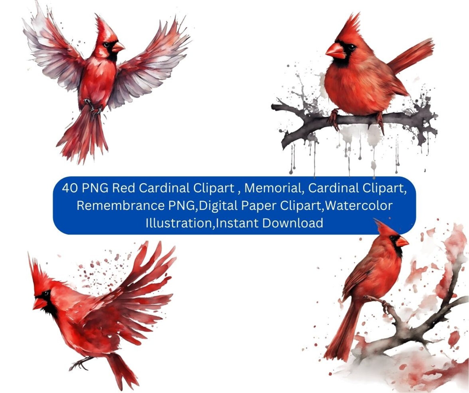 40 PNG, Red Cardinal Clipart , Memorial, Cardinal Clipart, Remembrance ...