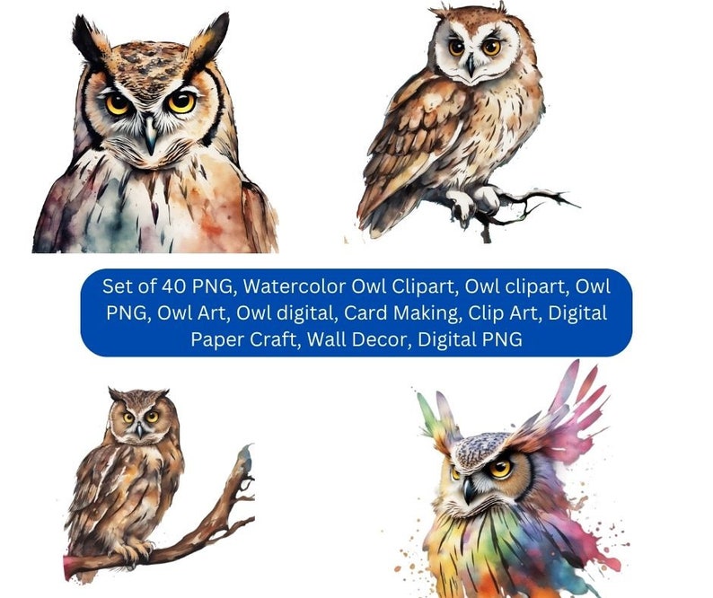 40 Owl Clipart Watercolor Clipart, PNG, Owl Art, Woodland. Owl ...