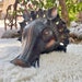 Bronze Statue, Bhuta Mask, Indian Varaha Head the Boar Avatara of Lord ...