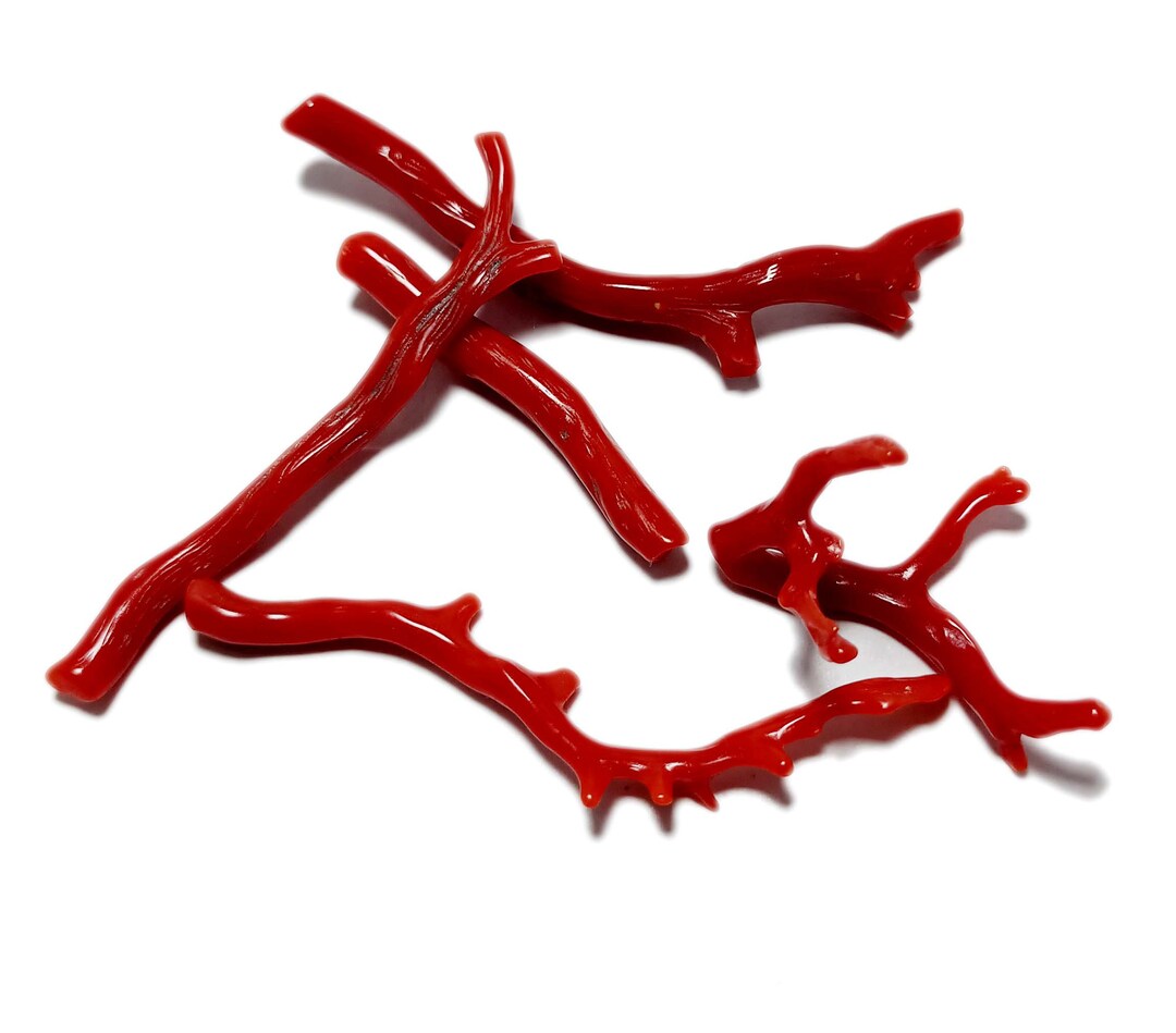 Raw Coral Stick Coral Branch Tree Coral Natural Red Coral Stick - Etsy