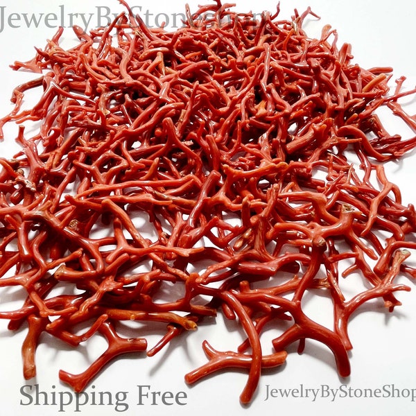 Natural Red Coral - Etsy