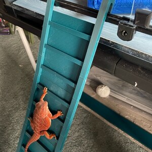 Bearded Dragon Ramp Ladder SOLD IN SECTIONS - Etsy