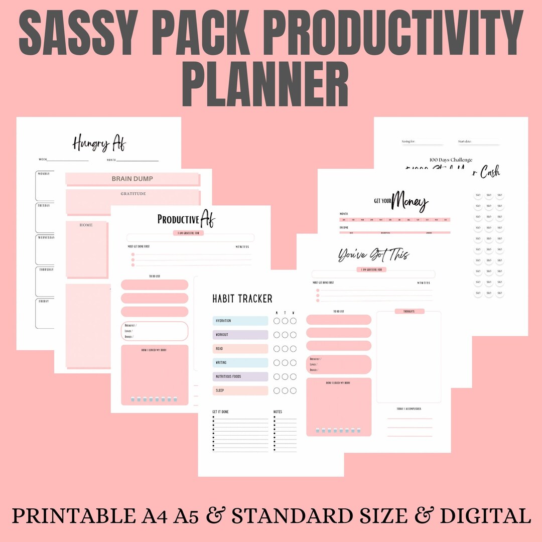 Productivity Planner Printable Sassy Pack Life Organizer Money Tracker ...