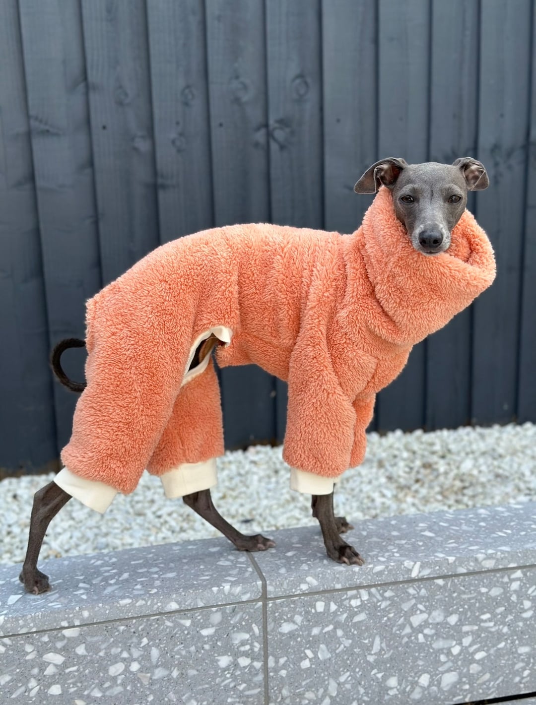 Coral Turtleneck Fleece | Italian Greyhound Jumpsuit - Etsy UK