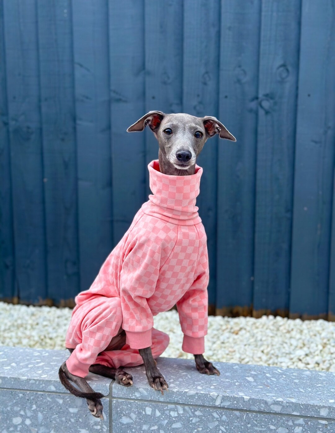 Italian Greyhound Jumpsuit Pyjamas Peach - Etsy