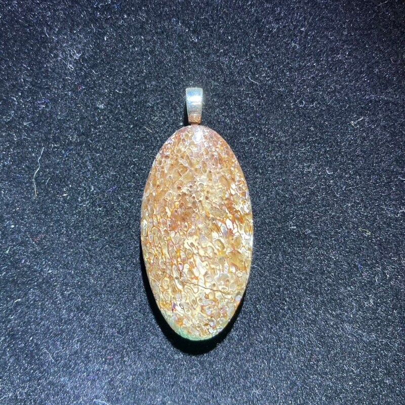 Petrified Whale Bone - Etsy