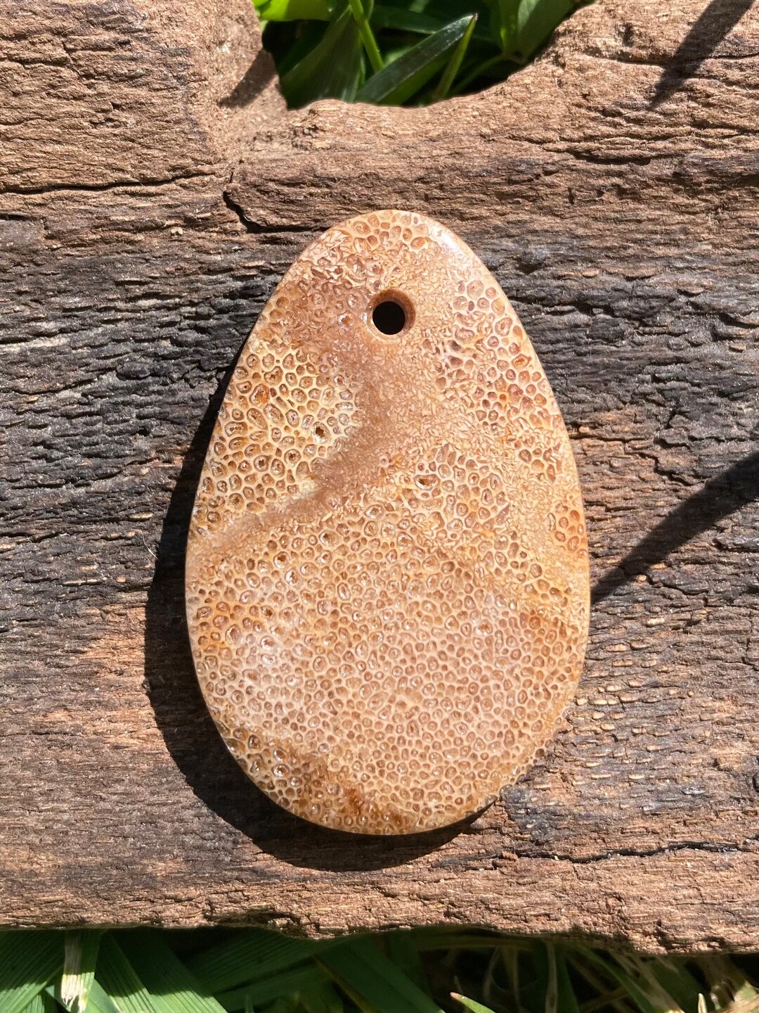 Fossilized Bone Pendant - Etsy