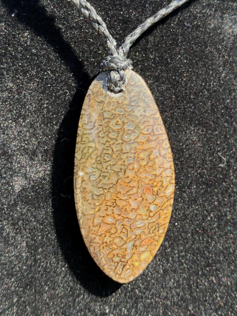Dinosaur Bone Pendant - Etsy