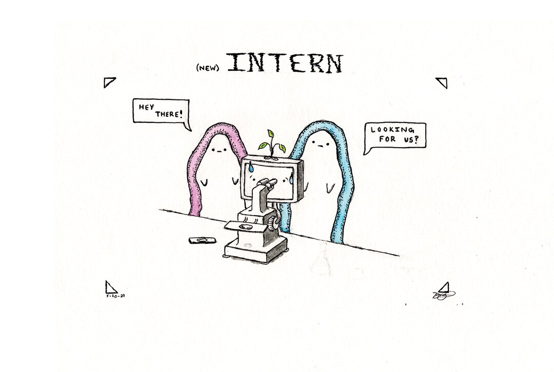The Intern ⸺ Postcard Art Print - Etsy