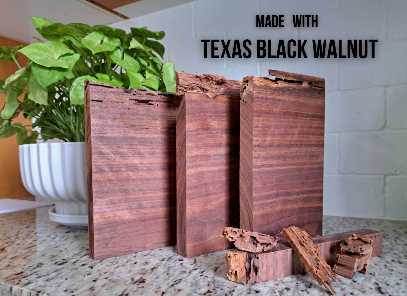 Tree of Life Epoxy Art Token Made in Aromatic Cedar - Etsy