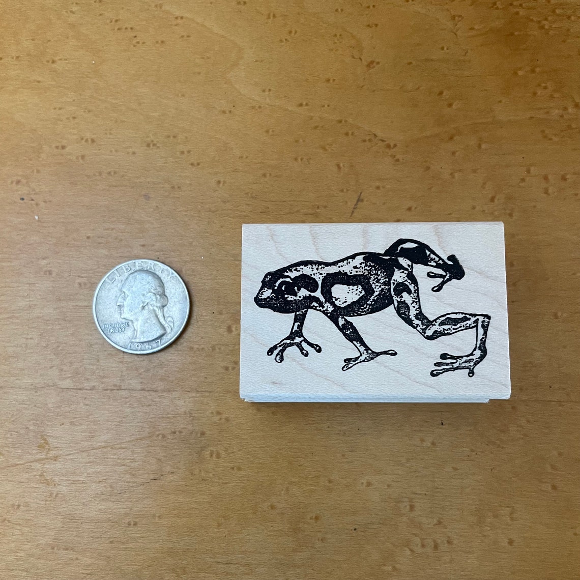 Spotted Frog (L) Rubber Stamp, Frog Stamp, Journal and Scrapbook Supply ...