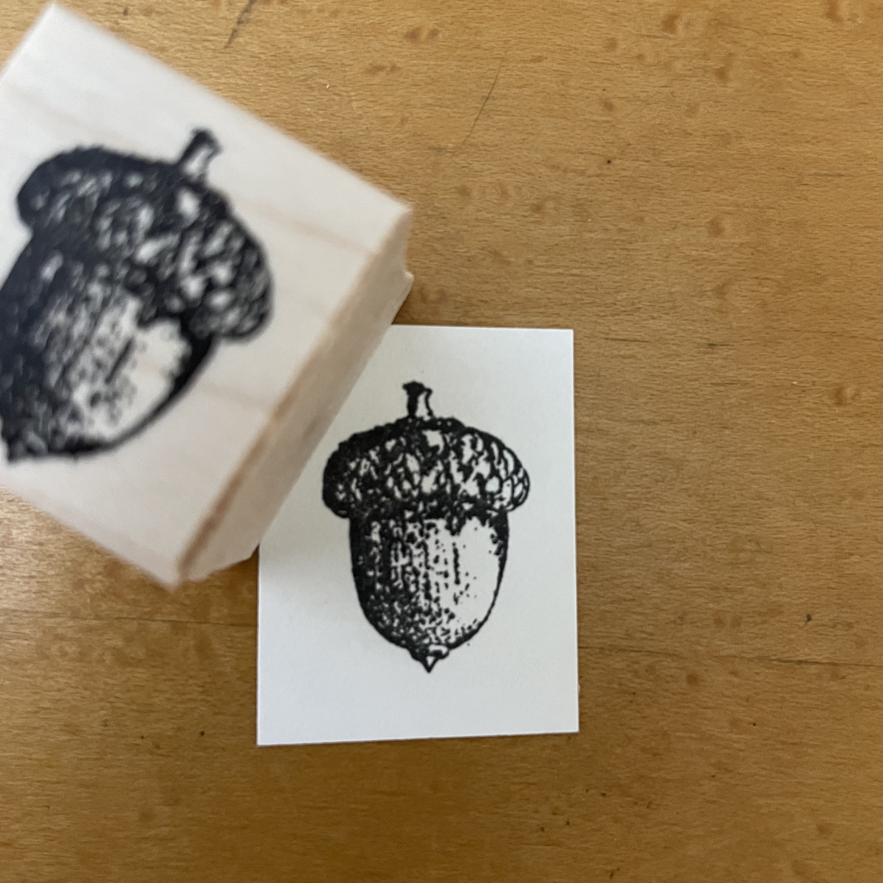 Acorn Rubber Stamp, Oak Tree Stamp, Journal and Scrapbook Supply, Art ...