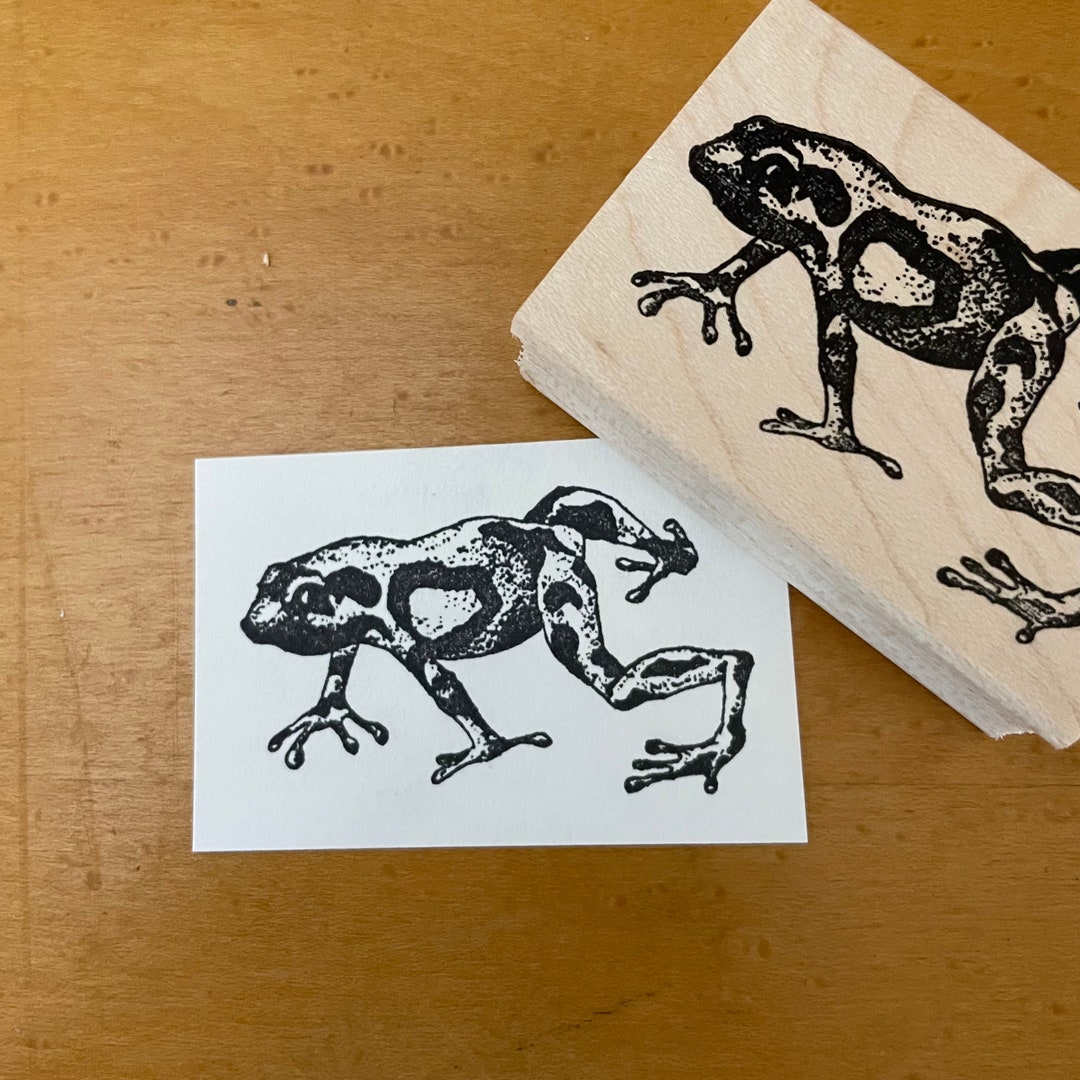 Spotted Frog (L) Rubber Stamp, Frog Stamp, Journal and Scrapbook Supply ...