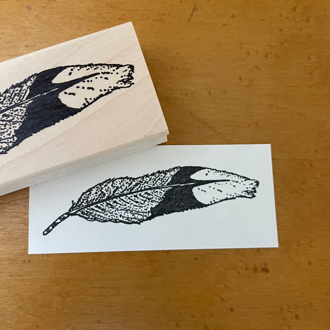 Dove Feather Rubber Stamp, Journaling, Scrapbooking (2 7/8x3/4 Inches ...
