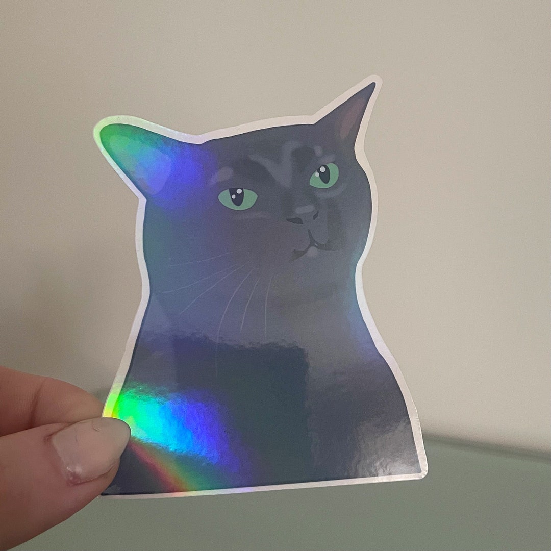 Unimpressed Meme Cat Sticker - Laptop Sticker - Etsy UK